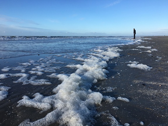 Փրփուր - Asbarez - Armenian